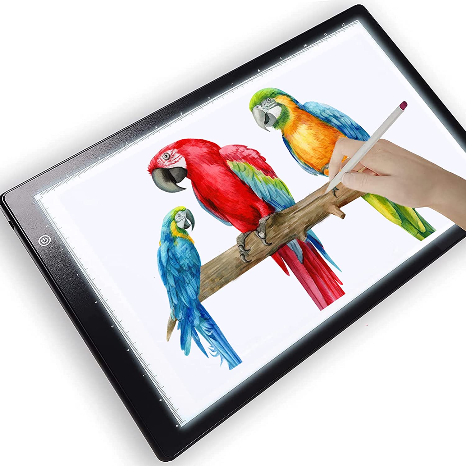 OPEN BOX Light Box for Tracing - A4 13x9 inch